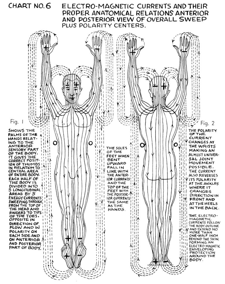 Left-right polarity of the human body